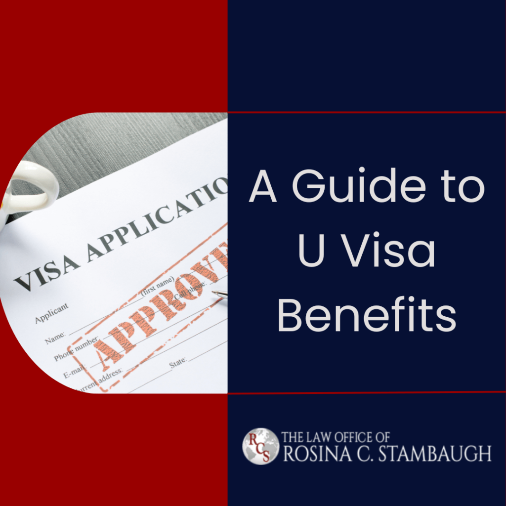 What is a U Visa?